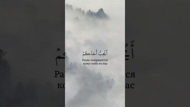 Чтение Корана - Абу Хатим 6