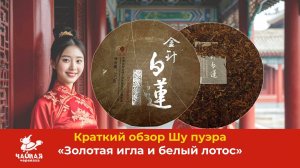 Шу Пуэр Чжэнь Бай Лянь «Золотая игла и белый лотос» — Гу И