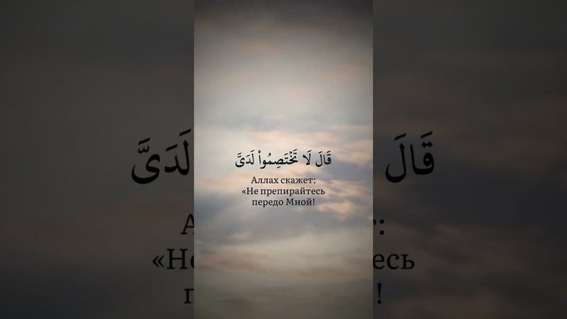 Чтение Корана - Абу Хатим 19