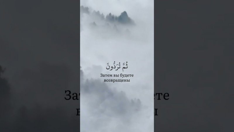 Чтение Корана   Абу Хатим 2