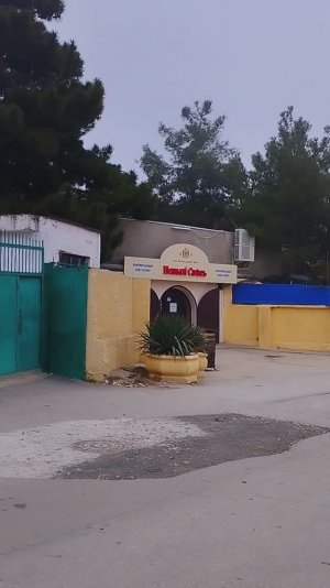 Новая дорога на завод шампанских вин, чтобы попасть на экскурсию. Новый Свет. Крым.
