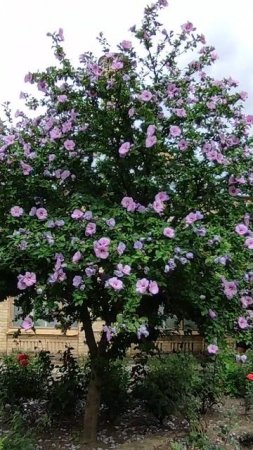 7 Ессентуки Верхние ванны