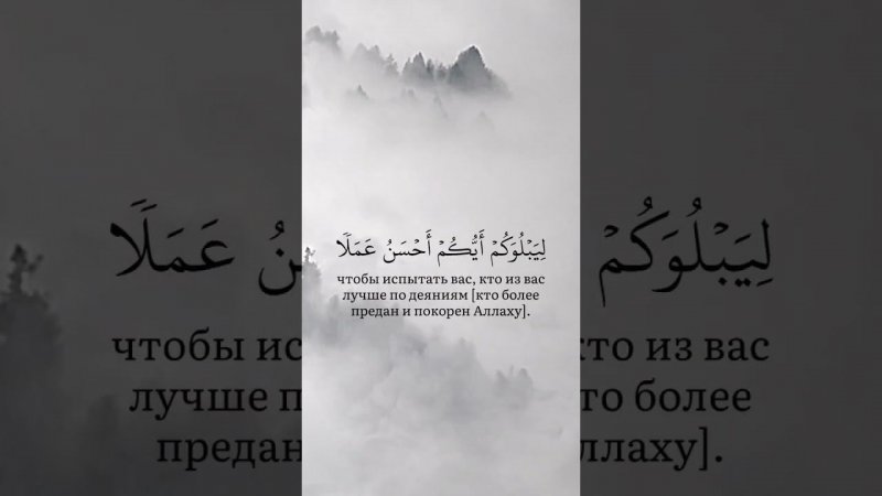 Чтение Корана - Абу Хатим 7