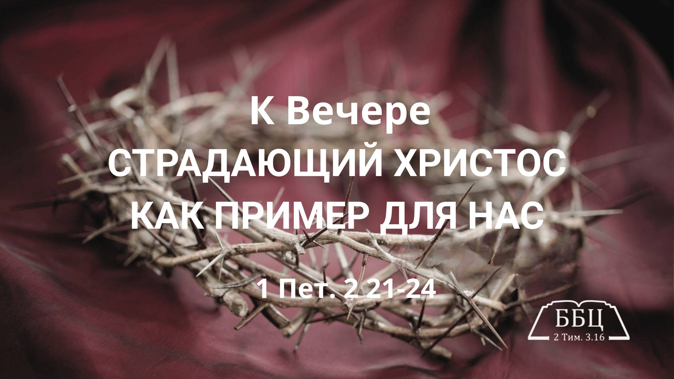 Страдающий христос как пример для нас (1 Пет. 2: 21-24) || Вячеслав Катречко