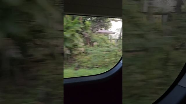 Поездка в храм на Шри-Ланке