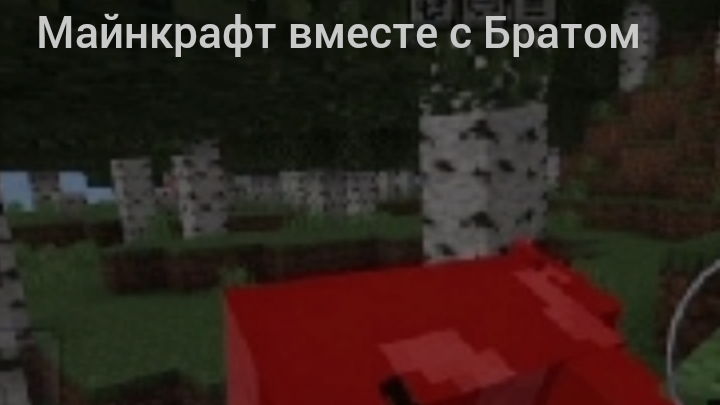 Играю в Майнкрафт вместе с Братом