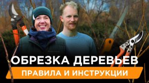 Обрезка деревьев: главные ошибки и как их избежать.