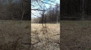Речка