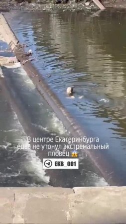 Дайте Оскар 🏆 этому персонажу!