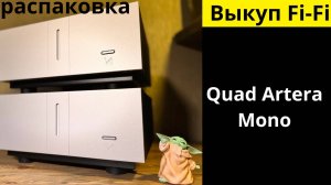 Распаковка Quad Artera Mono— моноусилитель мощност