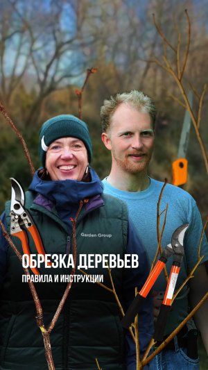 Обрезка деревьев: главные ошибки и как их избежать