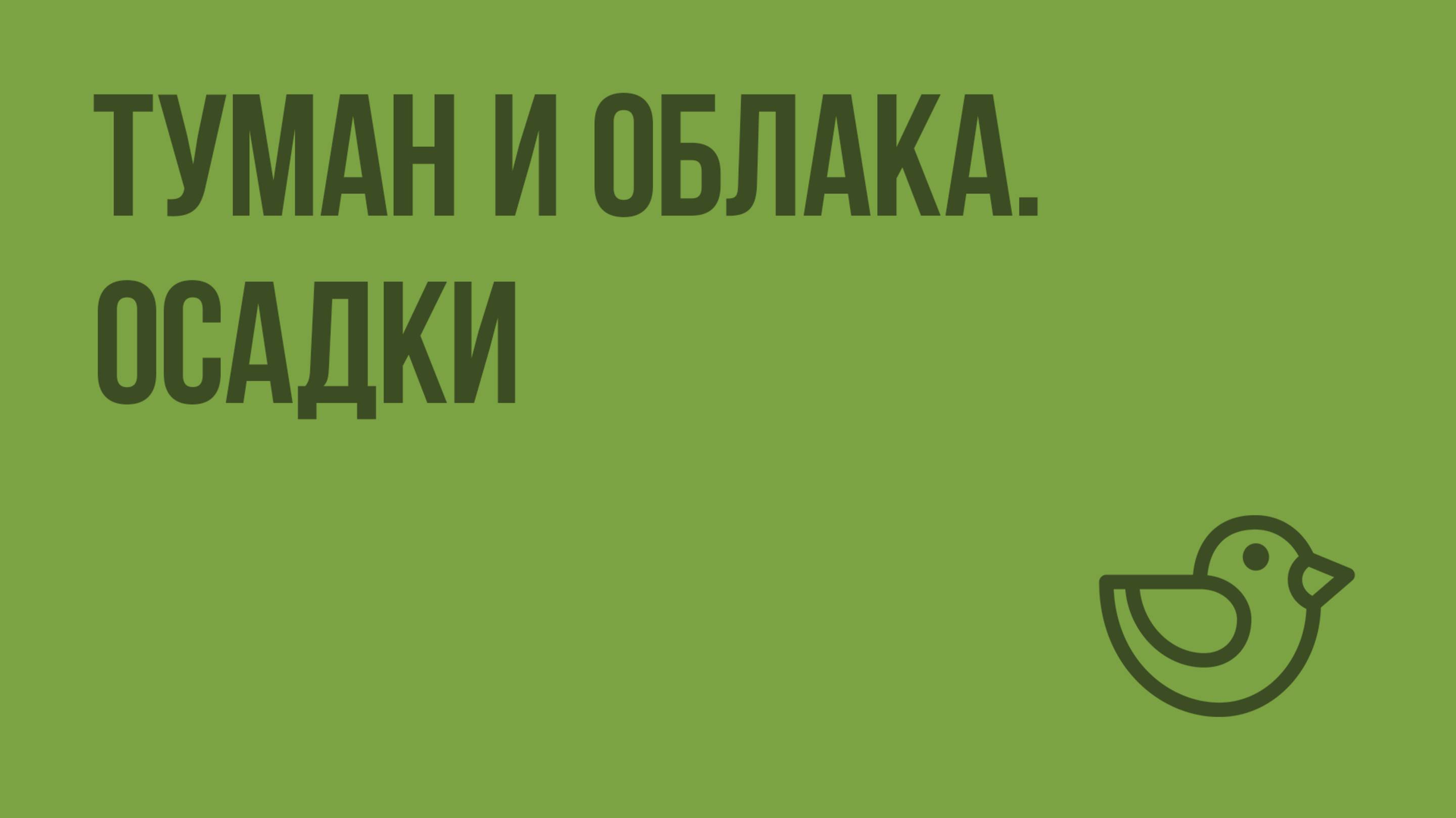 Туман и облака. Осадки. Видеоурок по окружающему миру 3  класс