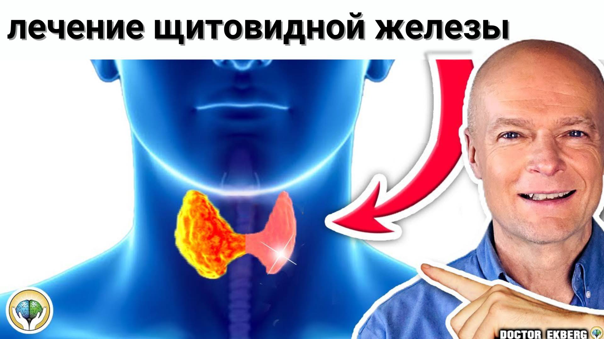 Лучший способ исцелить щитовидную железу Dr. Sten Ekberg