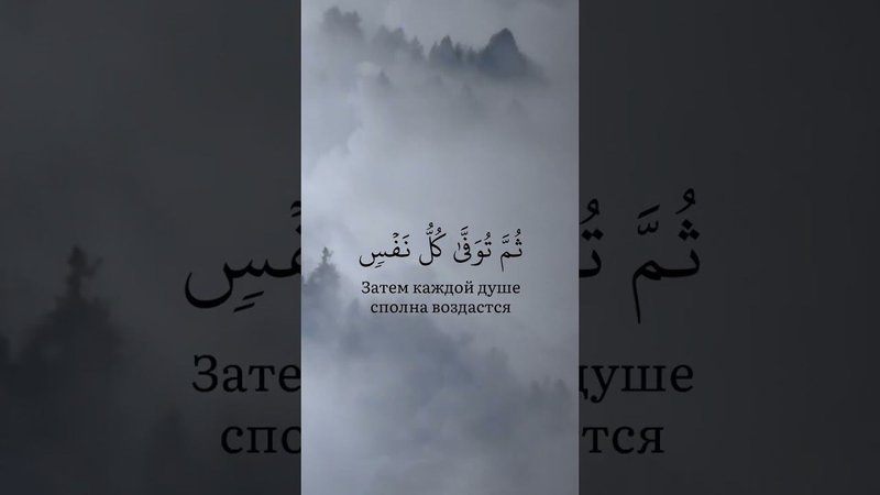 Чтение Корана - Абу Хатим 10