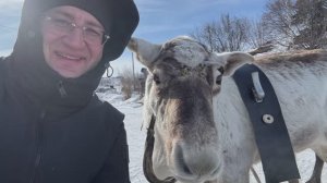 Ямал. Село Аксарка. День оленевода. Православный Чум и катание на оленях. Усадьба Терентьевых.