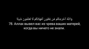 Сура Ан-Нахль (Пчёлы) 77-81 аяты. Мухаммад аль люхайдан 1424г