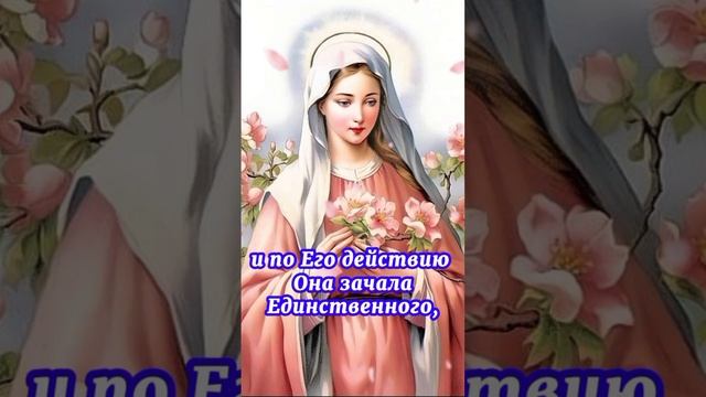 Две лилии