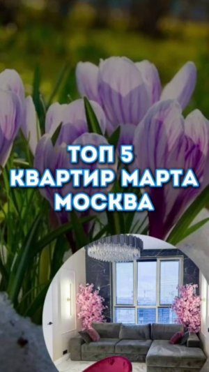 Топ 5 квартир марта  2025, Москва. #квартира, #недвижимость, #realestate, #жильё, #подмосковье