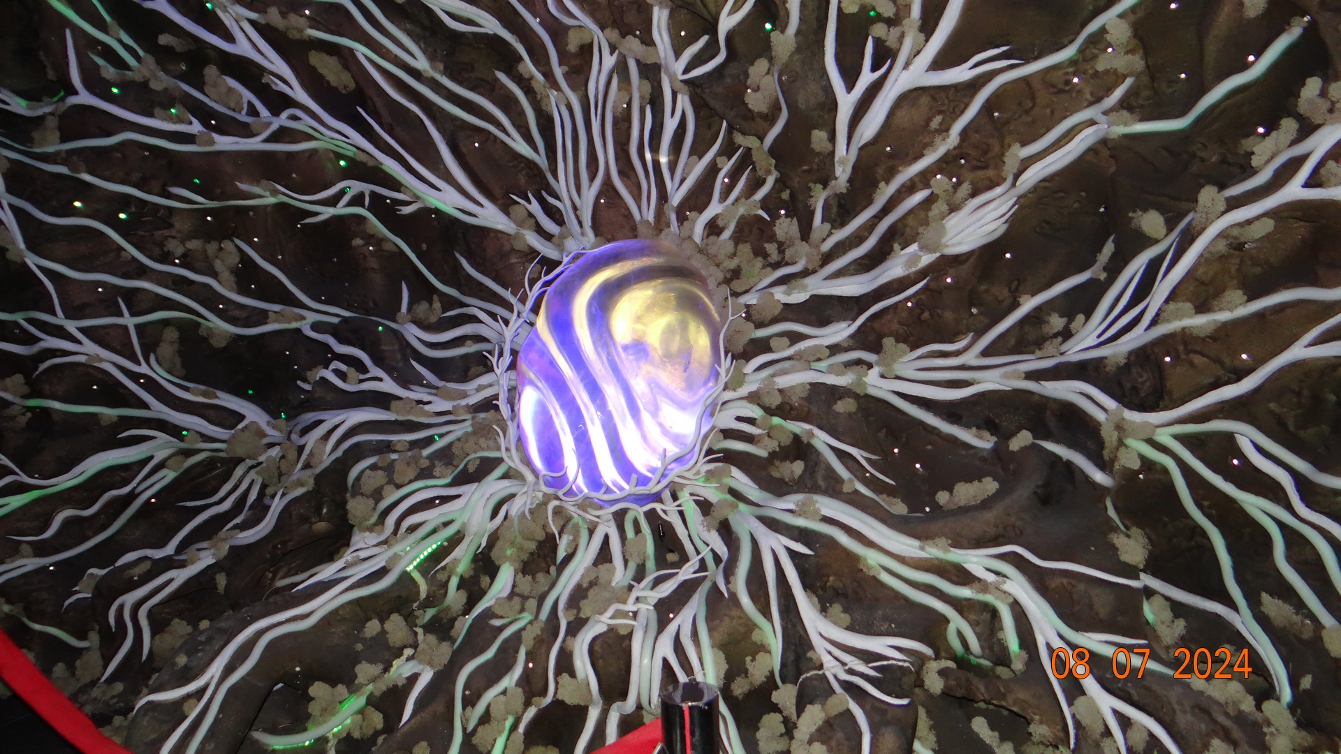 Экскурсия на завод шампанского  Абрау Дюрсо.