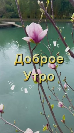 Доброе утро, какой прекрасный день