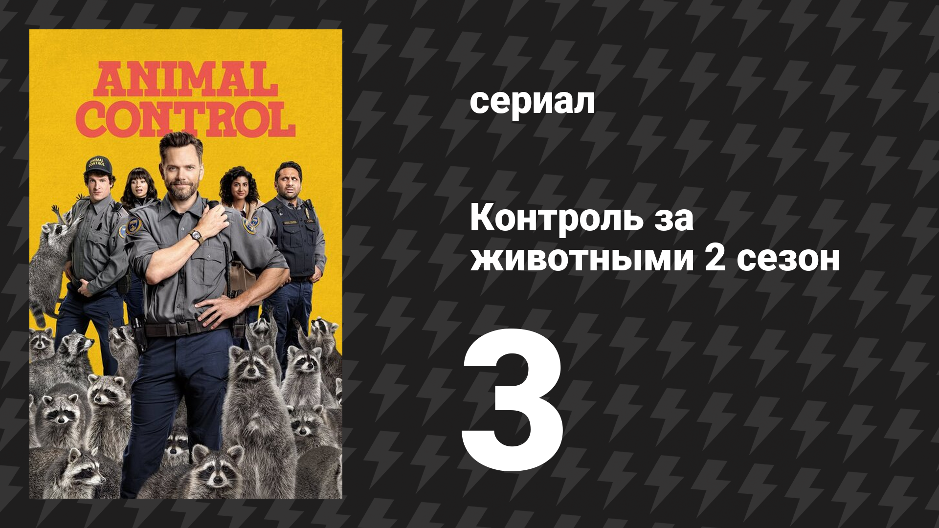 Контроль за животными 2 сезон 3 серия «Черепахи и лабрадоры» (сериал, 2024)