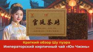Шу пуэр Императорский кирпичный чай «Юн Чжэнь» (Синь Вэнь)