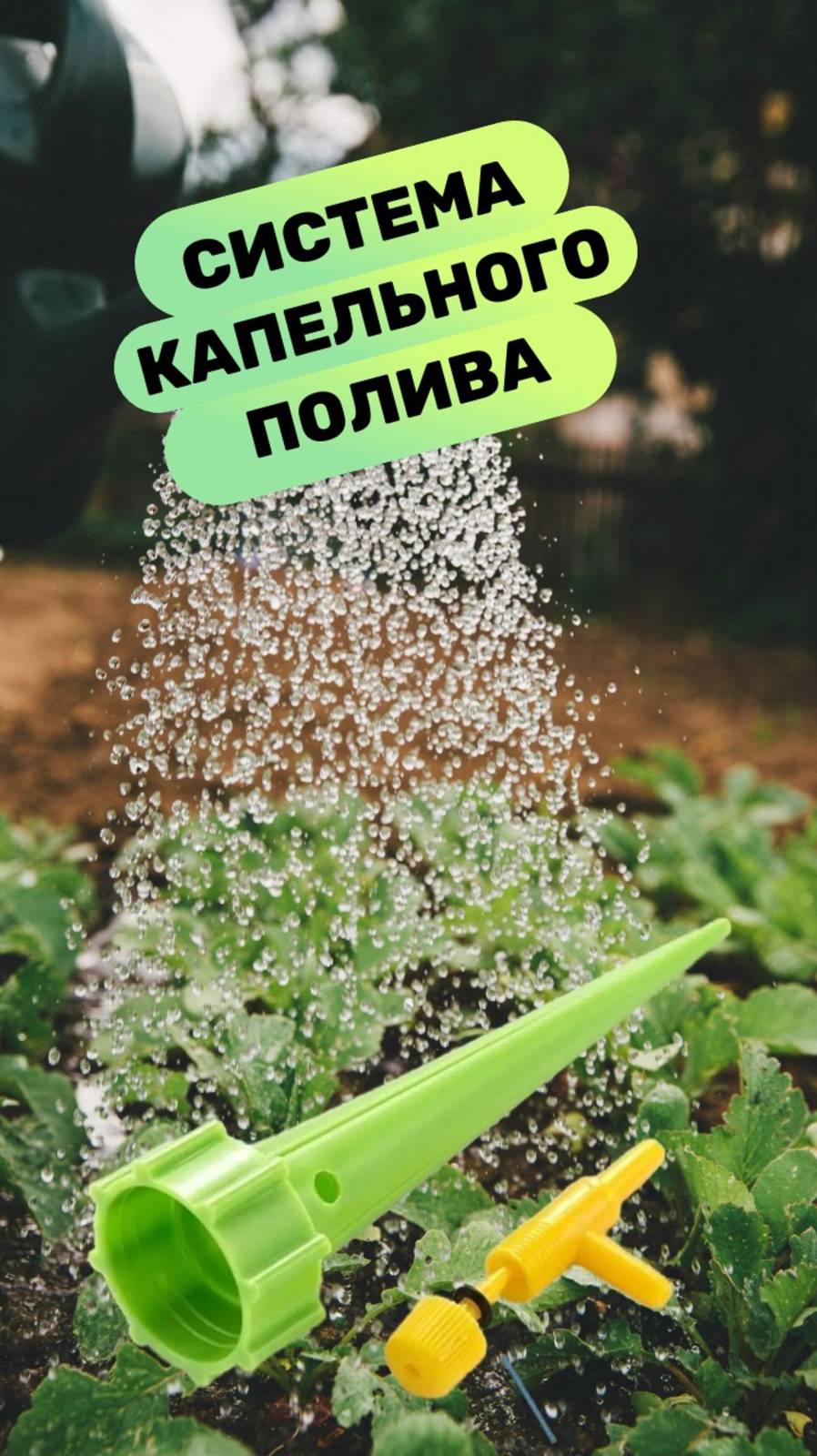 Система капельного автополива для комнатных растений сада