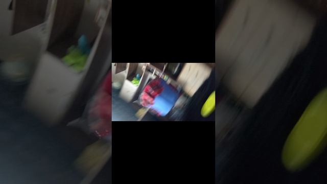 Поймал жука муравьям