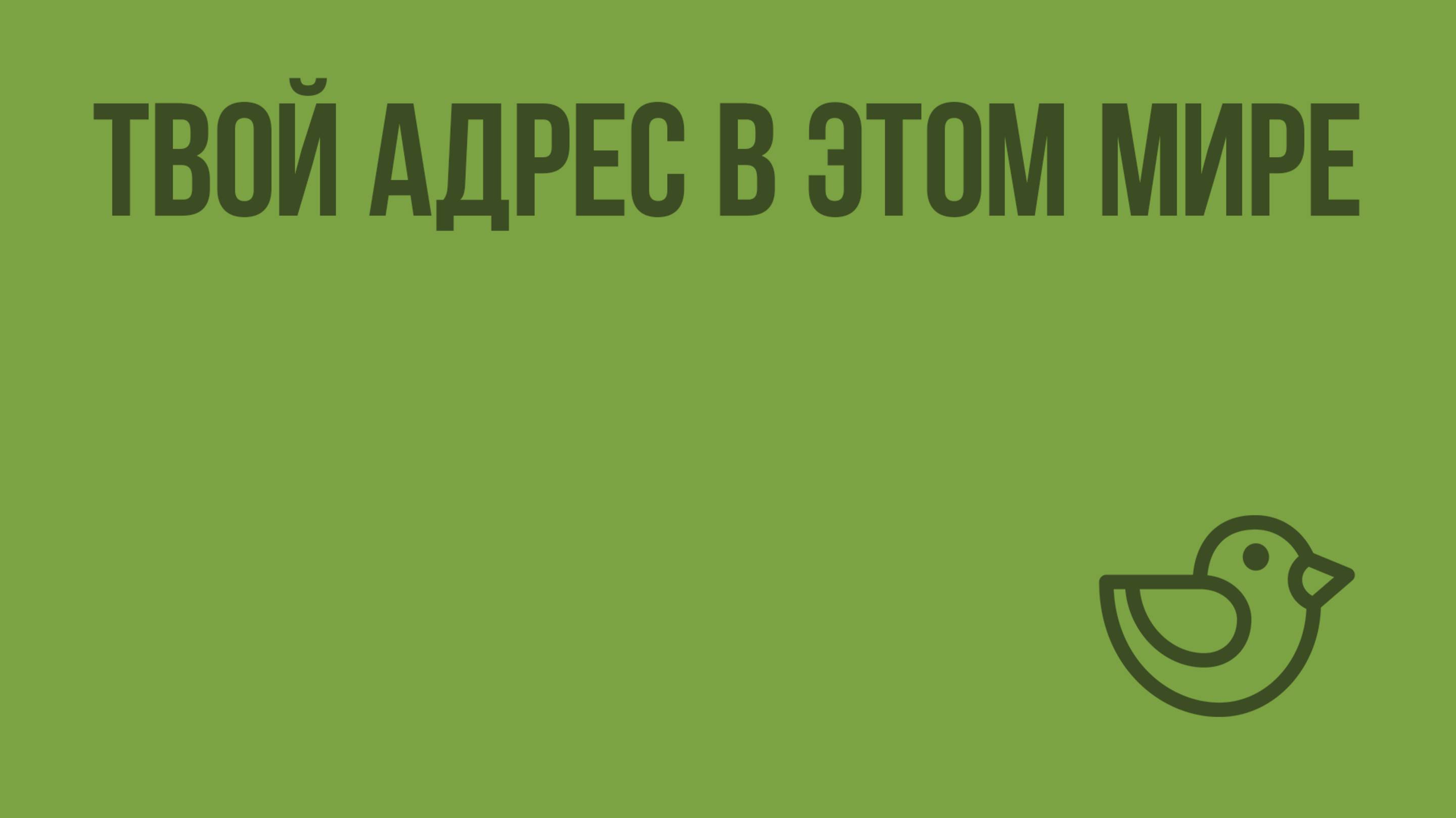 Твой адрес в этом мире. Видеоурок по окружающему миру 2  класс