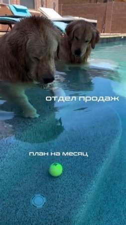 Видео смешное, ситуация страшная 😅