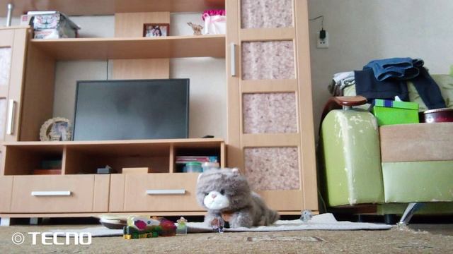 живая коробка 19