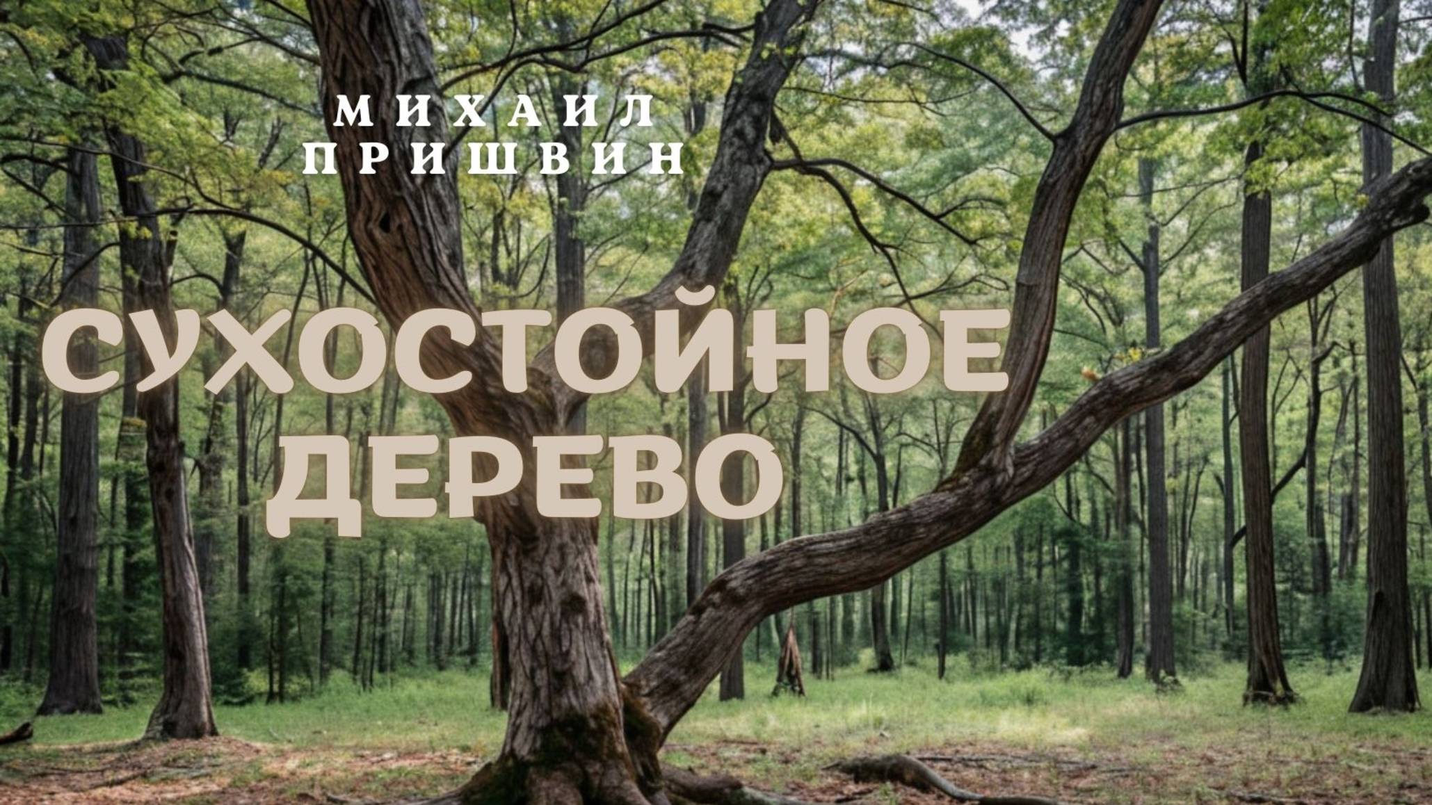 Михаил Пришвин Сухостойное дерево. Рассказы о природе и животных.