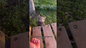 Вот такие необычные варианты подарков для себя из Адыгеи 🥰