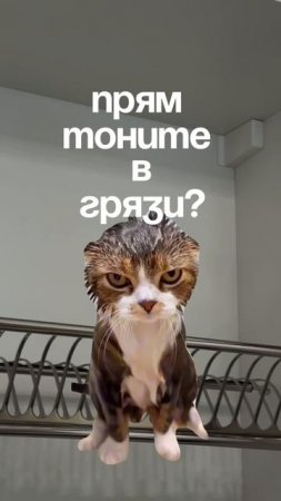 Самая дорогая уборка