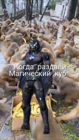 😂когда раздали магический куб🤣👍 Зацени! | в фри фаер #freefire #ff #shorts #shortsfreefire #фрифа