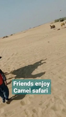 Camel Safari in Thar Desert #ytshorts #shortsfeed #shortsvideo #trendingshorts #viralshorts #shorts