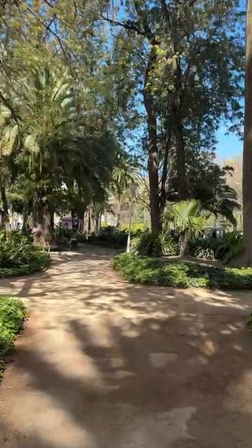 🌳Очень красивая аллея,🏞️словно маленький ботанический парк🌿