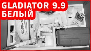 GLADIATOR G9.9FHS БЕЛЫЙ