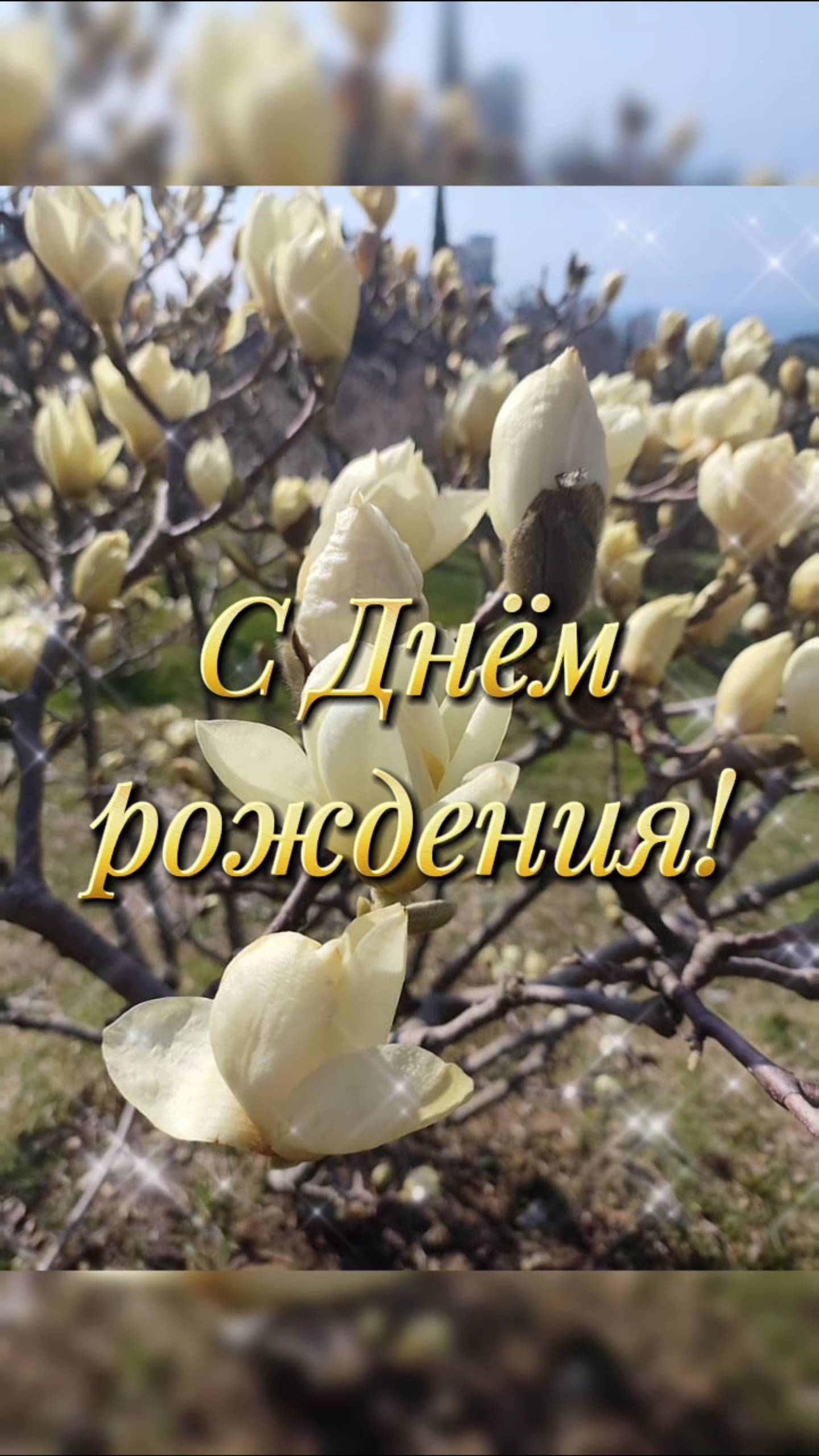 Любимая Таня, с Днём рождения