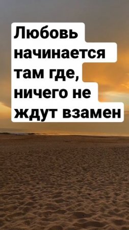 Любовь начинается  там где,ничего не ждут взамен #поэзия #стихи #стих #цытата #проза #любовь