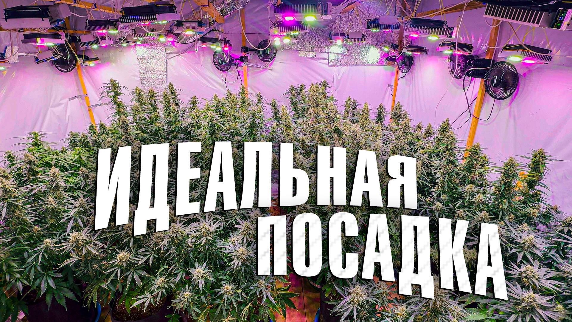 Вызов 02  Идеальная посадка