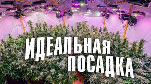 Вызов 02  Идеальная посадка