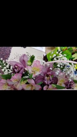 Цветы -это счастье 😍