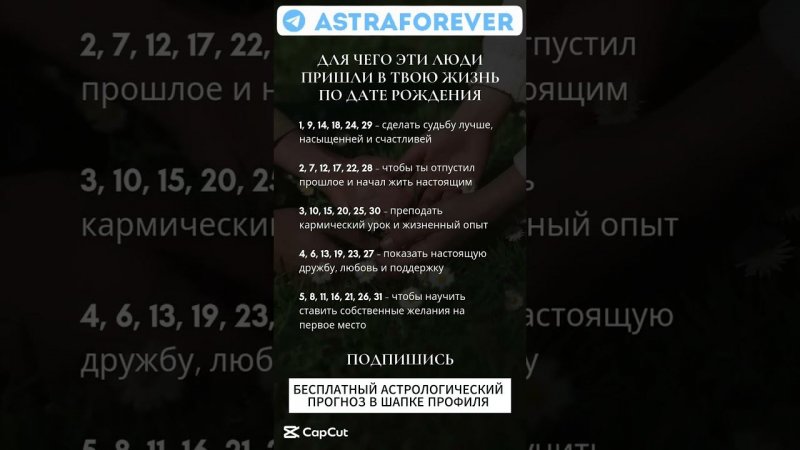 Для чего эти люди пришли в твою жизнь по дате рождения #астролог #таро #астрологическаяконсультация