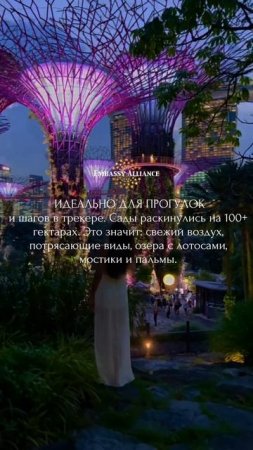 5 причин посетить Gardens by the Bay — даже если вы не ботаник!🦋