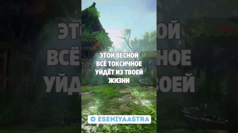 Этой весной все токсичное уйдет из твоей жизни! Просто проверь! #астролог #нумеролог #любовь #совет