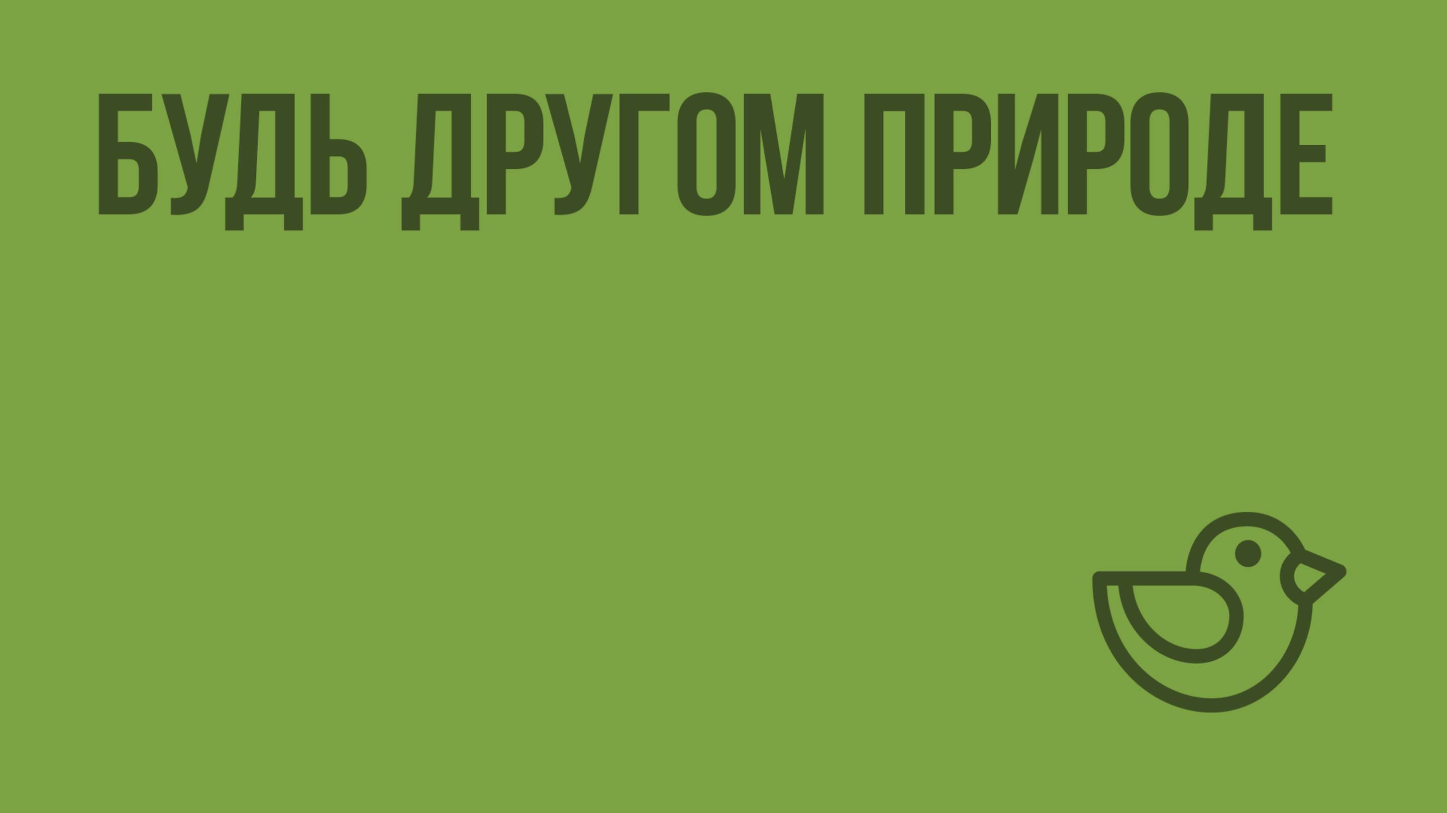 Будь другом природе. Видеоурок по окружающему миру 2  класс