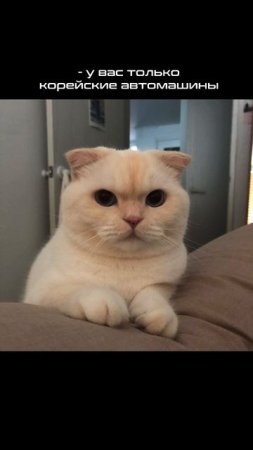 Собственник: почему так мало продаж? 🤷♂️