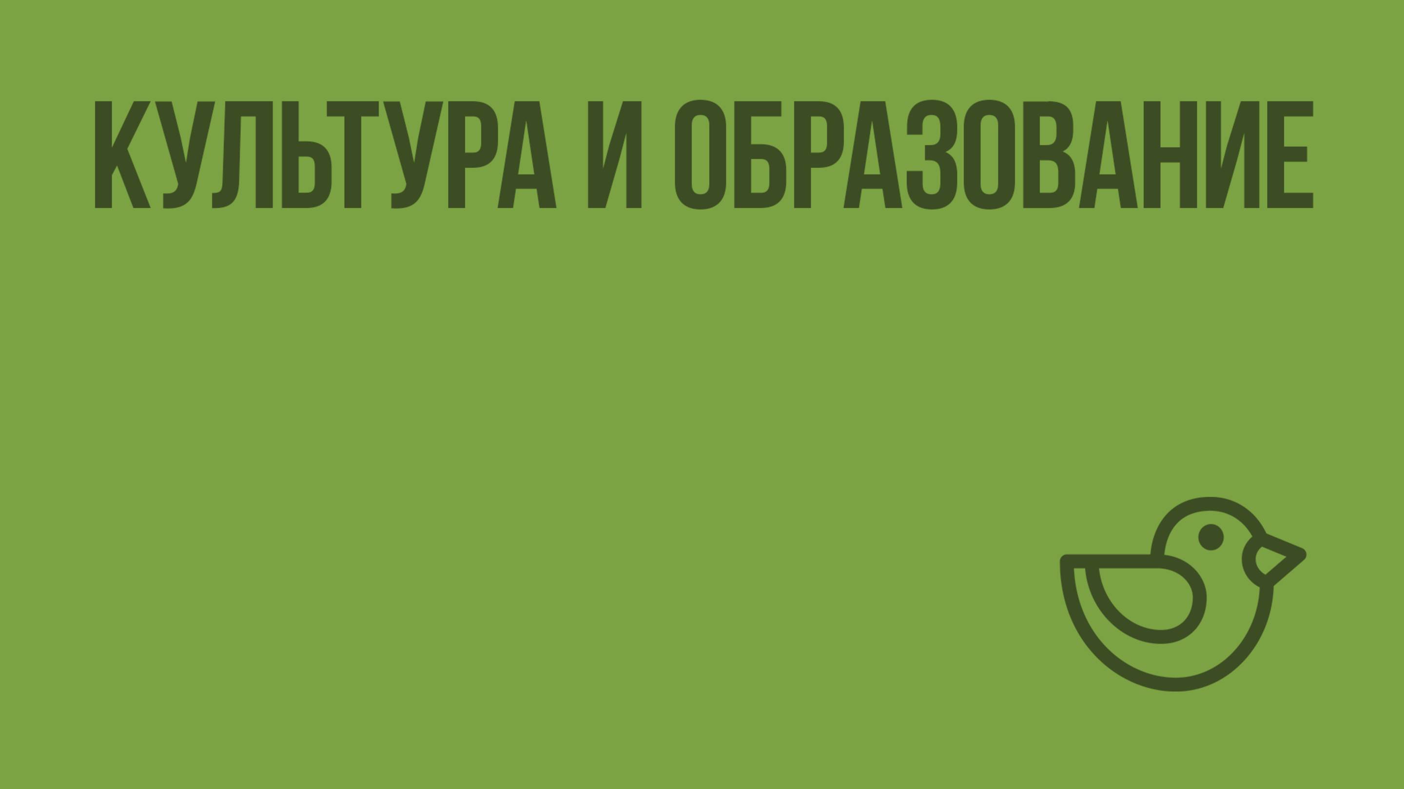 Культура и образование. Видеоурок по окружающему миру 2  класс