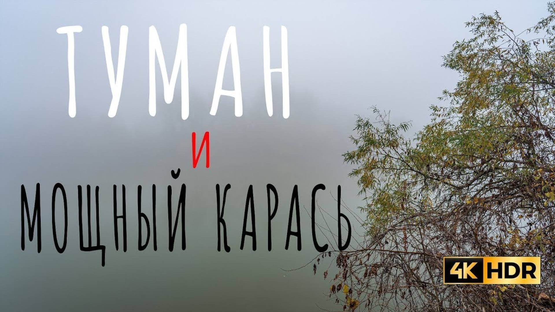 РЫБАЛКА НА РЕКЕ КУБАНЬ / ЛОВЛЯ КРУПНОГО КАРАСЯ ДО 1 КГ.